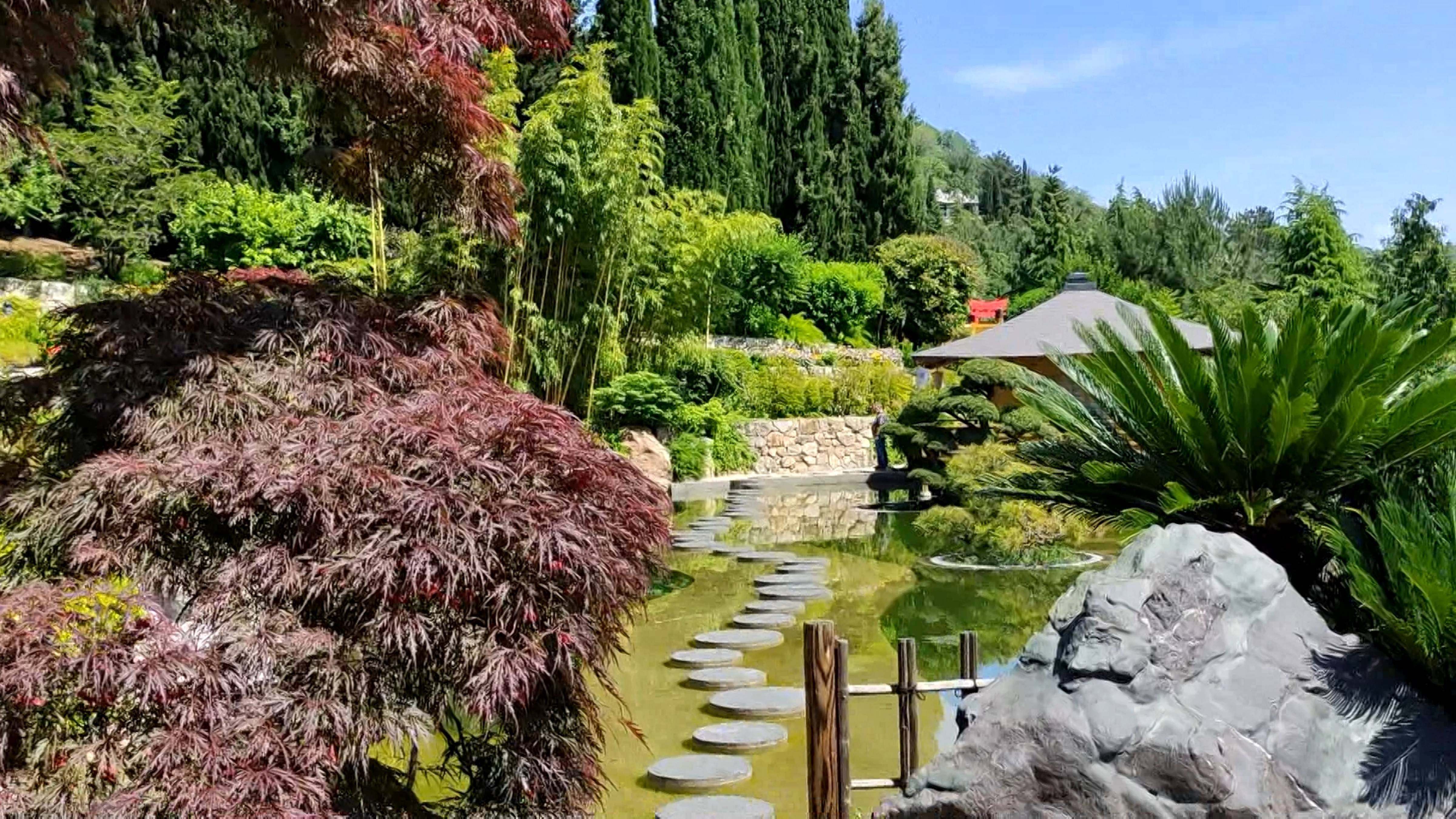 Партенит Парк Айвазовское Японский садик