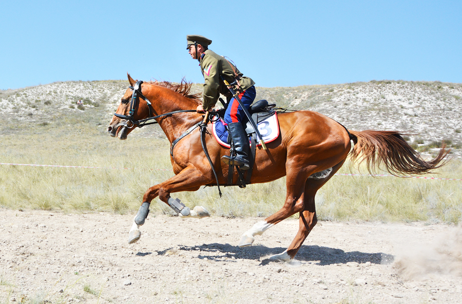 На коне казак гарцует