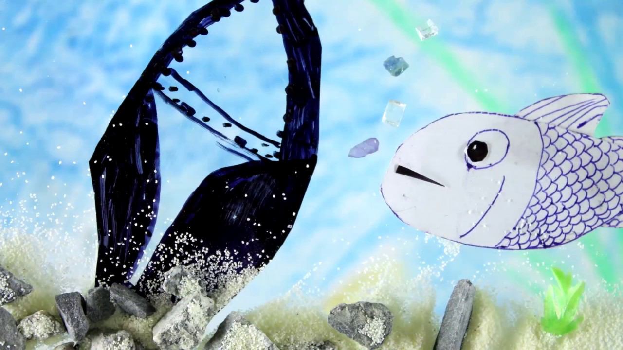 Ракета и рыба