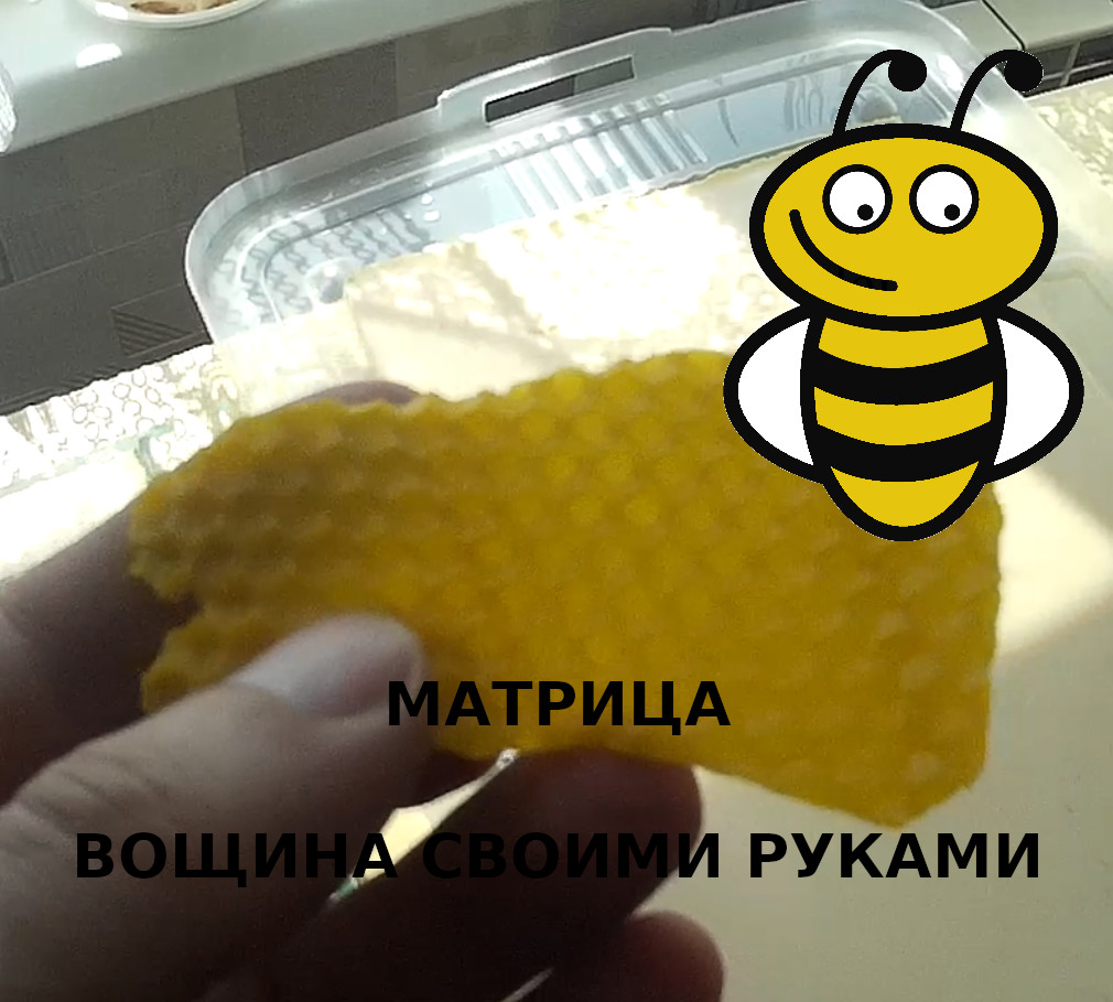 Матрица, вощина своими руками.