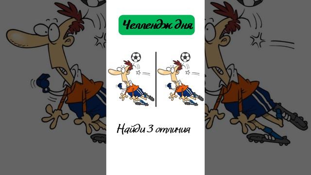 Найди отличия 41