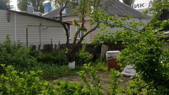 Nora. Прыг-скок