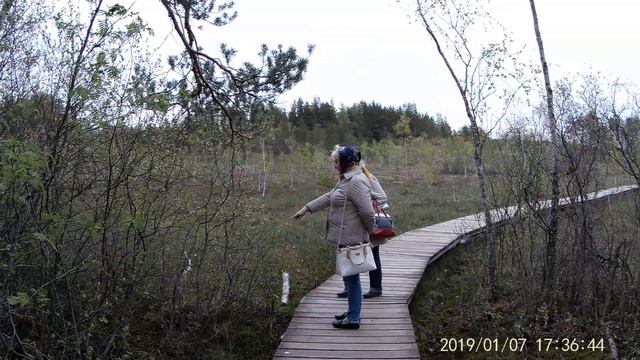 Сестрорецкое болото. Часть 1.