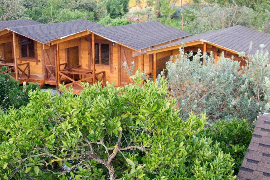 Отдых в Алахадзы на берегу моря. Базы отдыха в Алахадзы рядом с морем. «Теремки» БАЗА ОТДЫХА