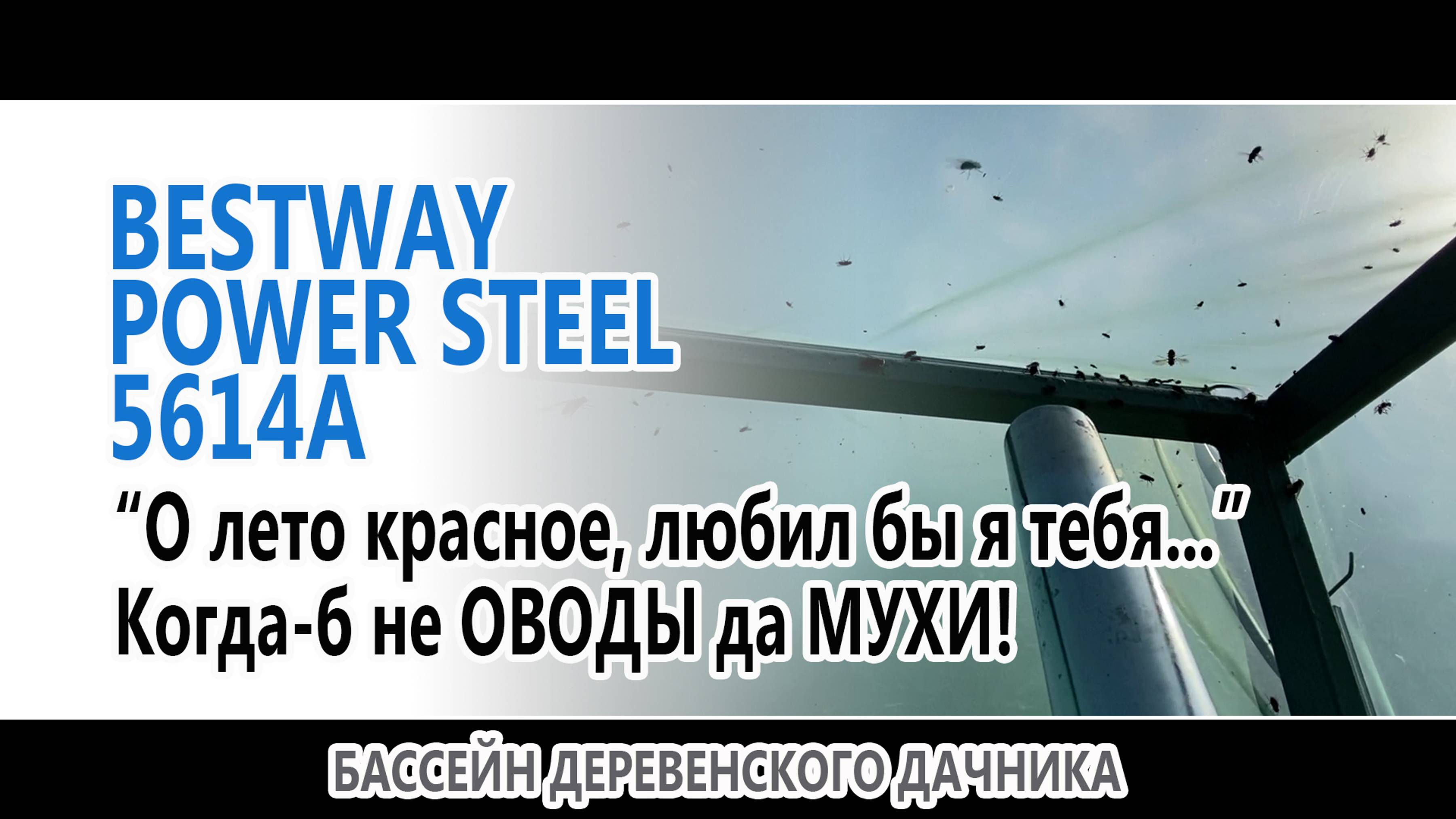 О лето красное, любил бы я тебя, когдаб не оводы да мухи в павильоне