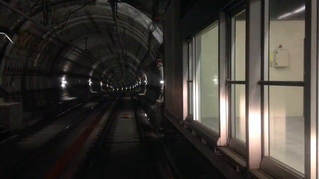 Движение - жизнь