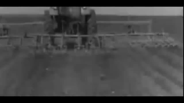 Колхозы и совхозы В СССР/Люди и техника/1950/1960/Ностальгия/Советские реалии/