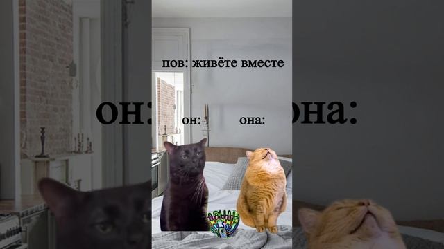пов живёте вместе