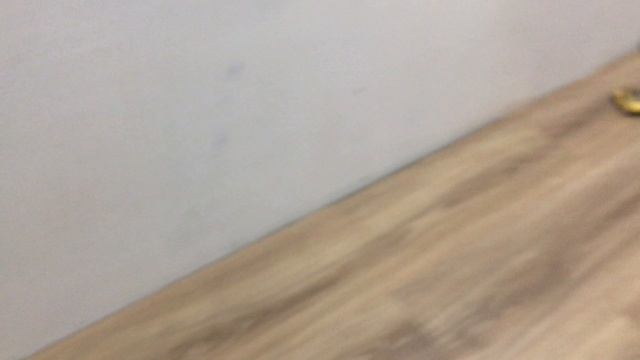 Приехала милиция что делать