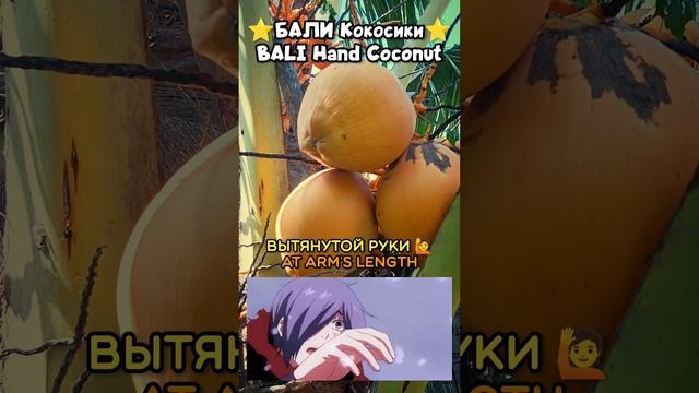 ? «Bali Hand Coconut / Бали Ручные Кокосики»