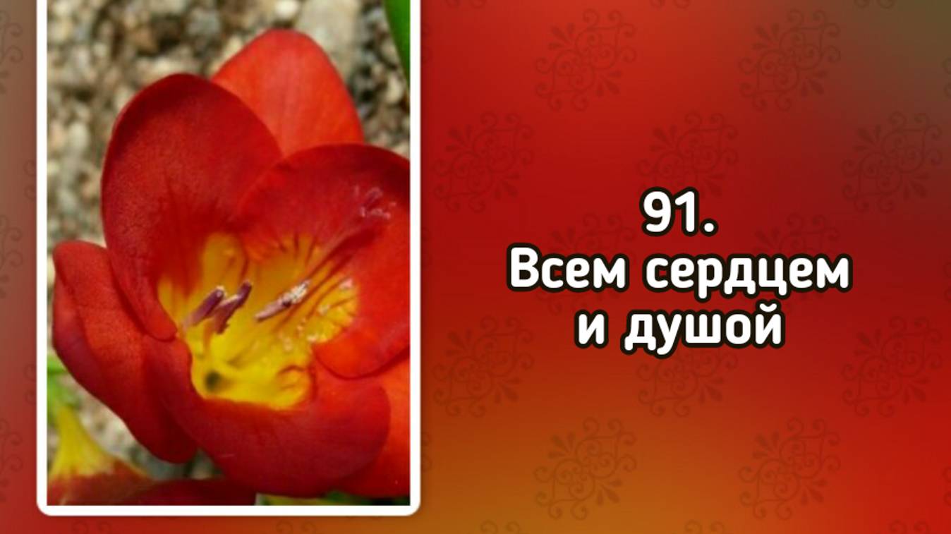 Гимны надежды 91 Всем сердцем и душой (-)