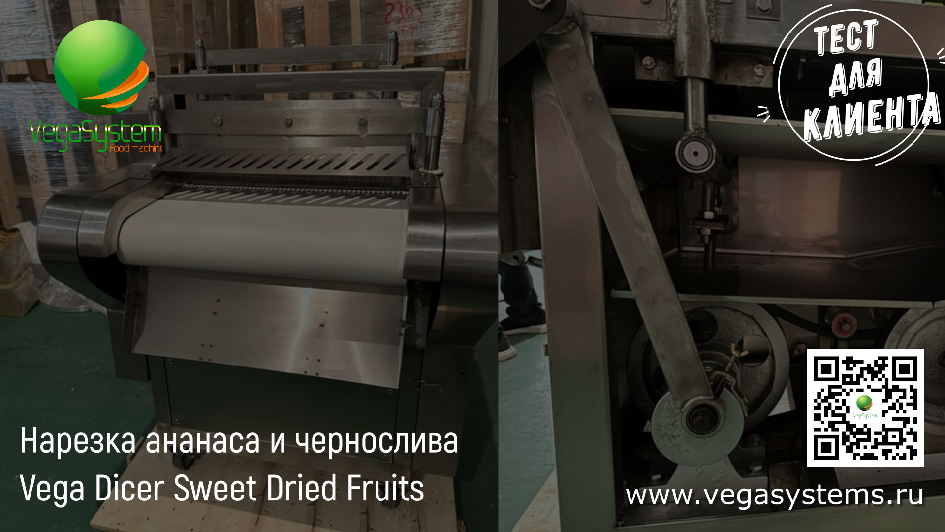 Нарезка сладкого ананаса, чернослива, сухофруктов Vega Dicer Sweet Dried Fruits | Тест для клиента