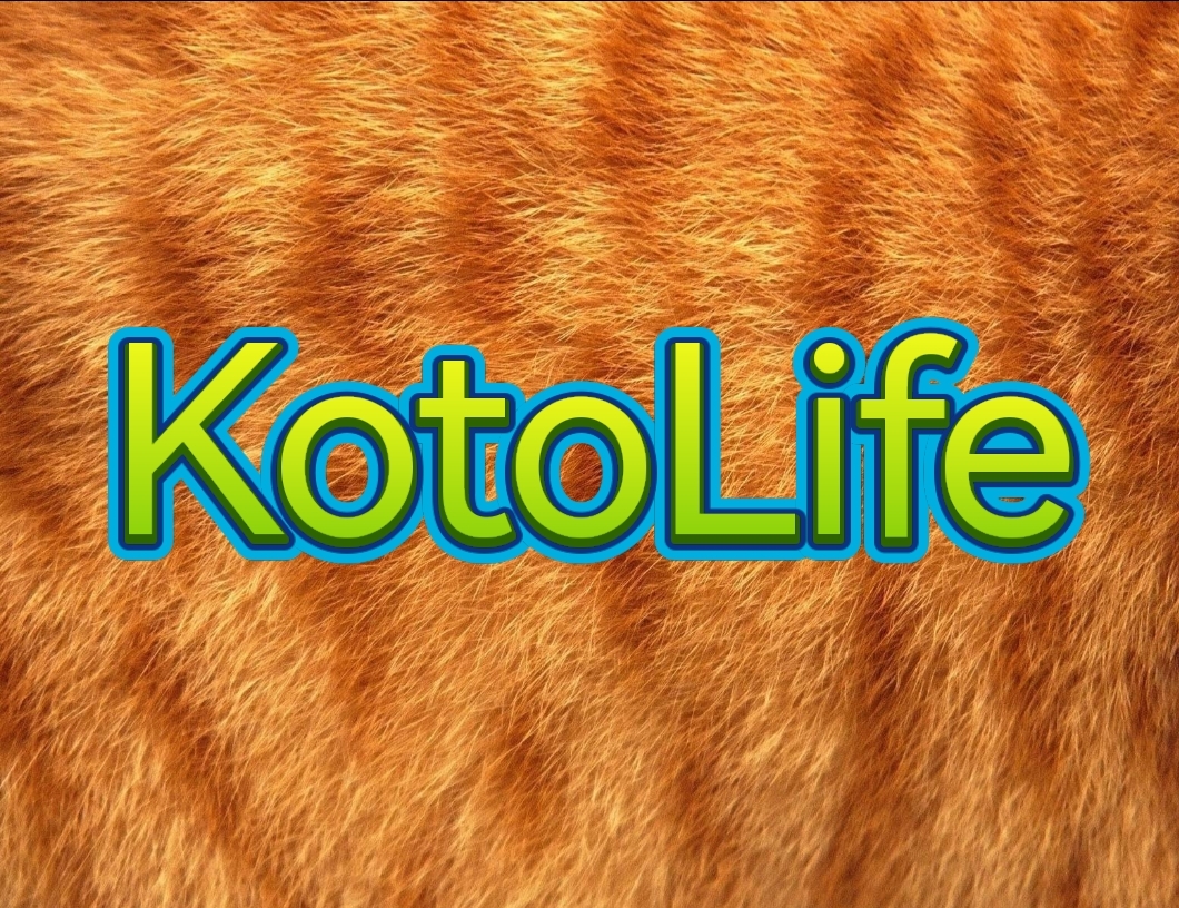 Вот и дружба началась