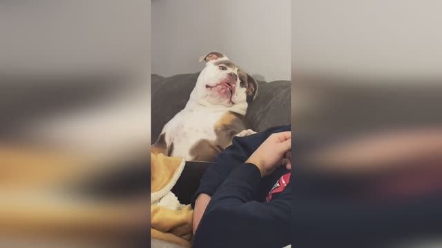 ПРИКОЛЫ ИЗ ТИК ТОК ДЛЯ ВЗРОСЛЫХ | ЧУДИКИ ИЗ ТИК ТОК | ЛУЧШИЕ ПРИКОЛЫ 2022 | НОВЫЕ ПРИКОЛЫ #6