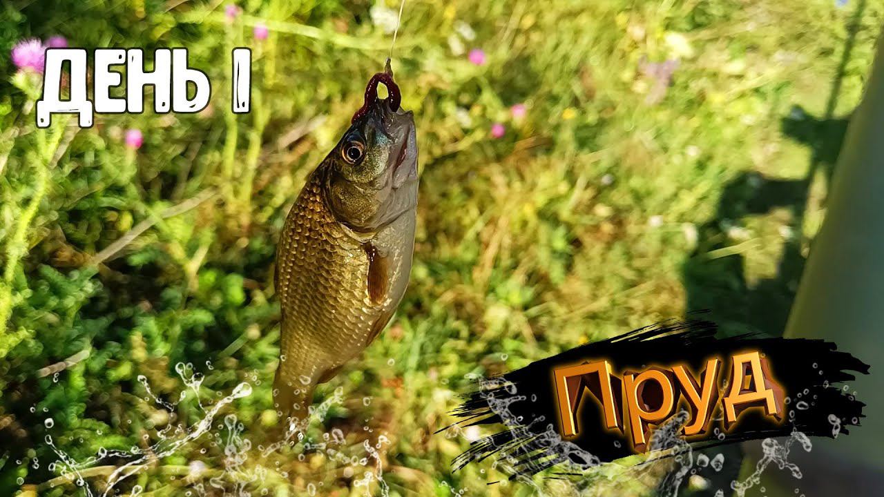 РЫБАЛКА В ЛЕСНОМ ПРУДУ С НЕОЖИДАННОСТЯМИ