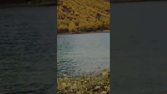 Новый способ познакомиться