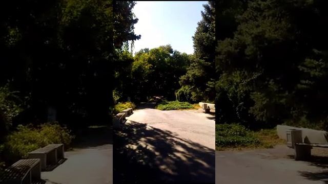 Ботанический сад ЮФУ в Ростове-на-Дону — один из крупнейших университетских садов России.