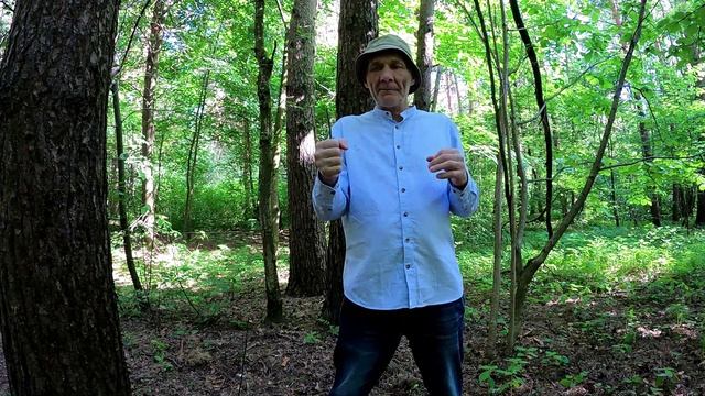 14.06.2023 Волновая гимнастика, занятие №1