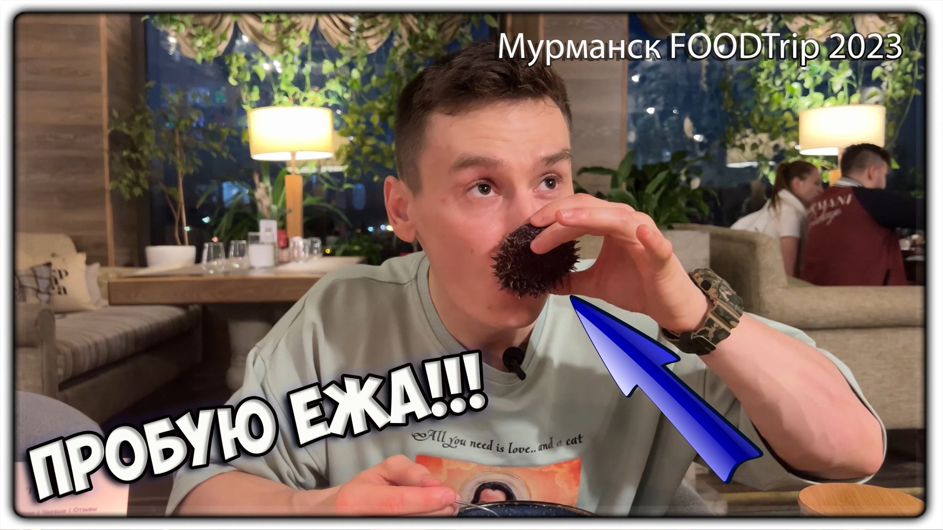 Ресторанный синдикат ТЕРРАСА обзор | Mурманск 2023