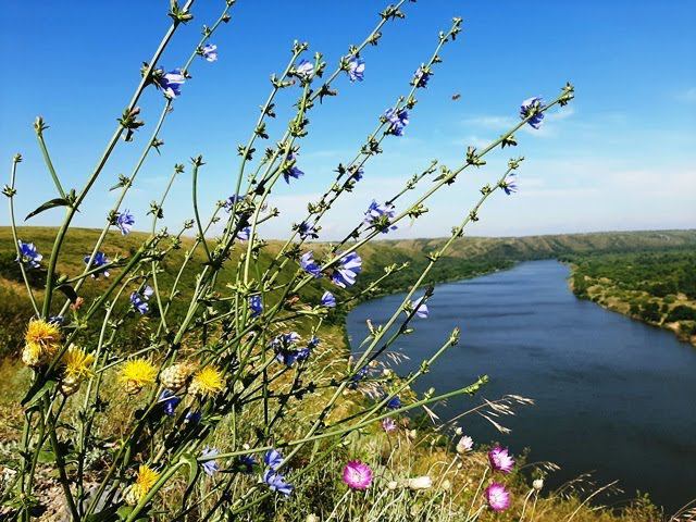 Молитва Живые Помощи 40 раз - на фоне природы!