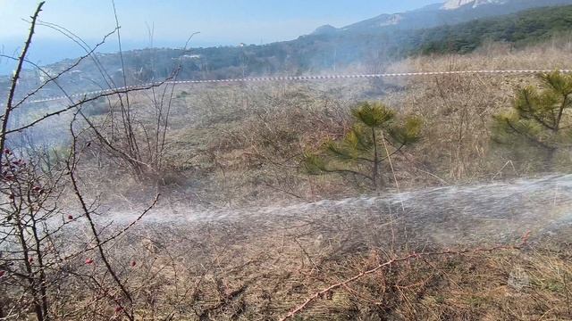 ПТУ в заповедном Крыму Алупкинского лесничества