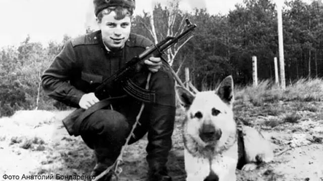 ВНИМАНИЕ, СНИМАЮ! УЛЫБОЧКУ! СКАЖИТЕ ЧИ-ИЗЗЗ...!