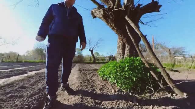 Как быстро похудеть за неделю без тренировок!!!