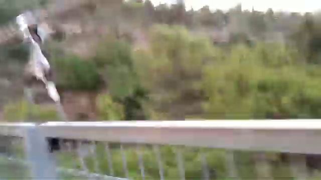 ПОДВЕСНОЙ МОСТ!!!.mp4