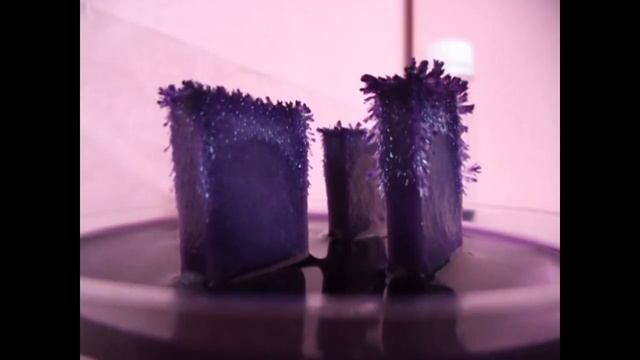 Выращиваем кристаллы. Влог #11