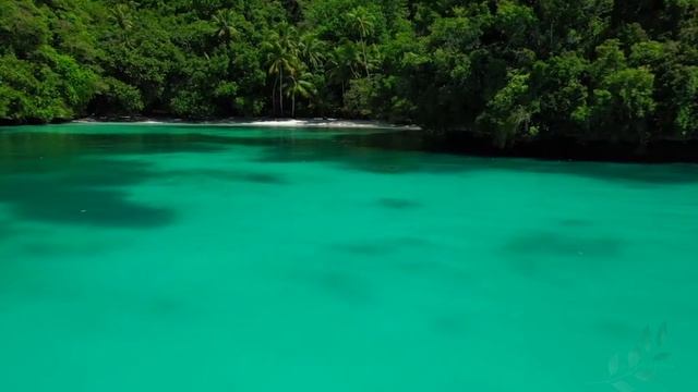 Райская планета. Видео 4K.  Замечательное стихотворение под видео!