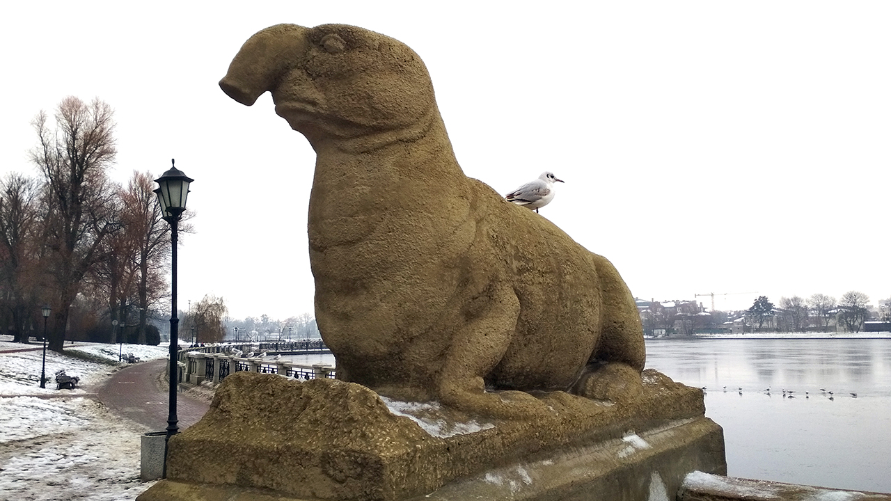 Зима на Верхнем озере Калининграда