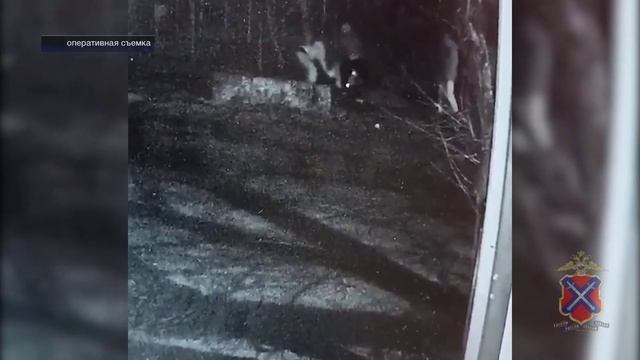 В Дзержинском районе оперативники задержали подозреваемых в совершении тяжкого преступления