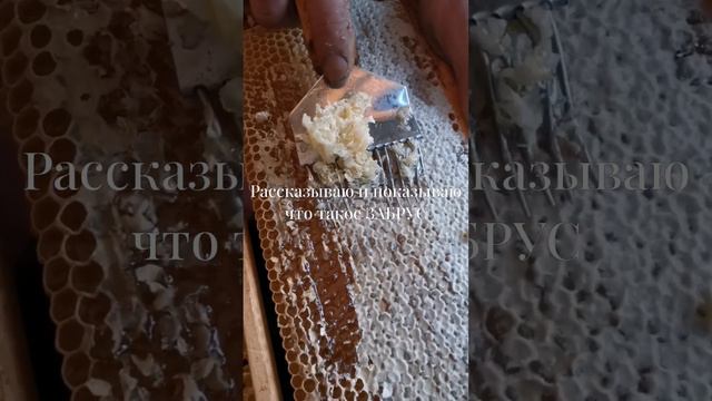 Что такое забрус и как его снимать