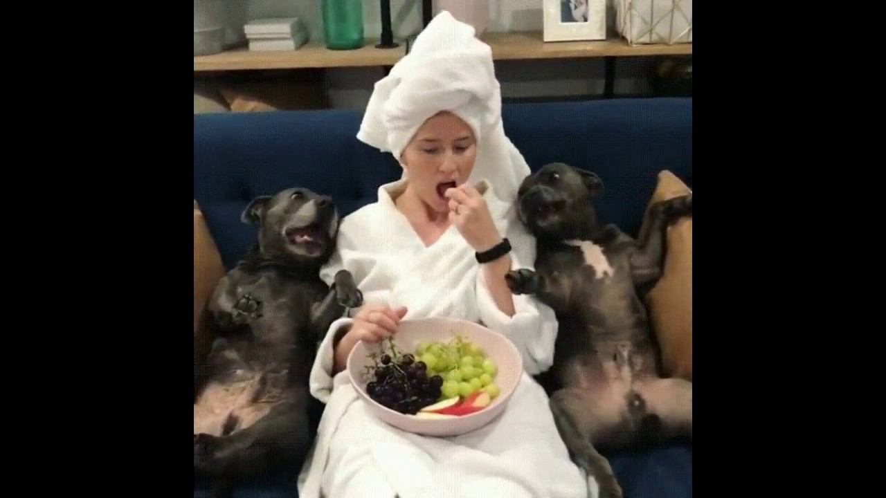 Новейшая нарезка приколов. Топ 10./ The latest cutting of jokes. Top 10.