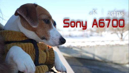 Река Осётр  Зарайск. Тест-видео Sony A6700 4K
