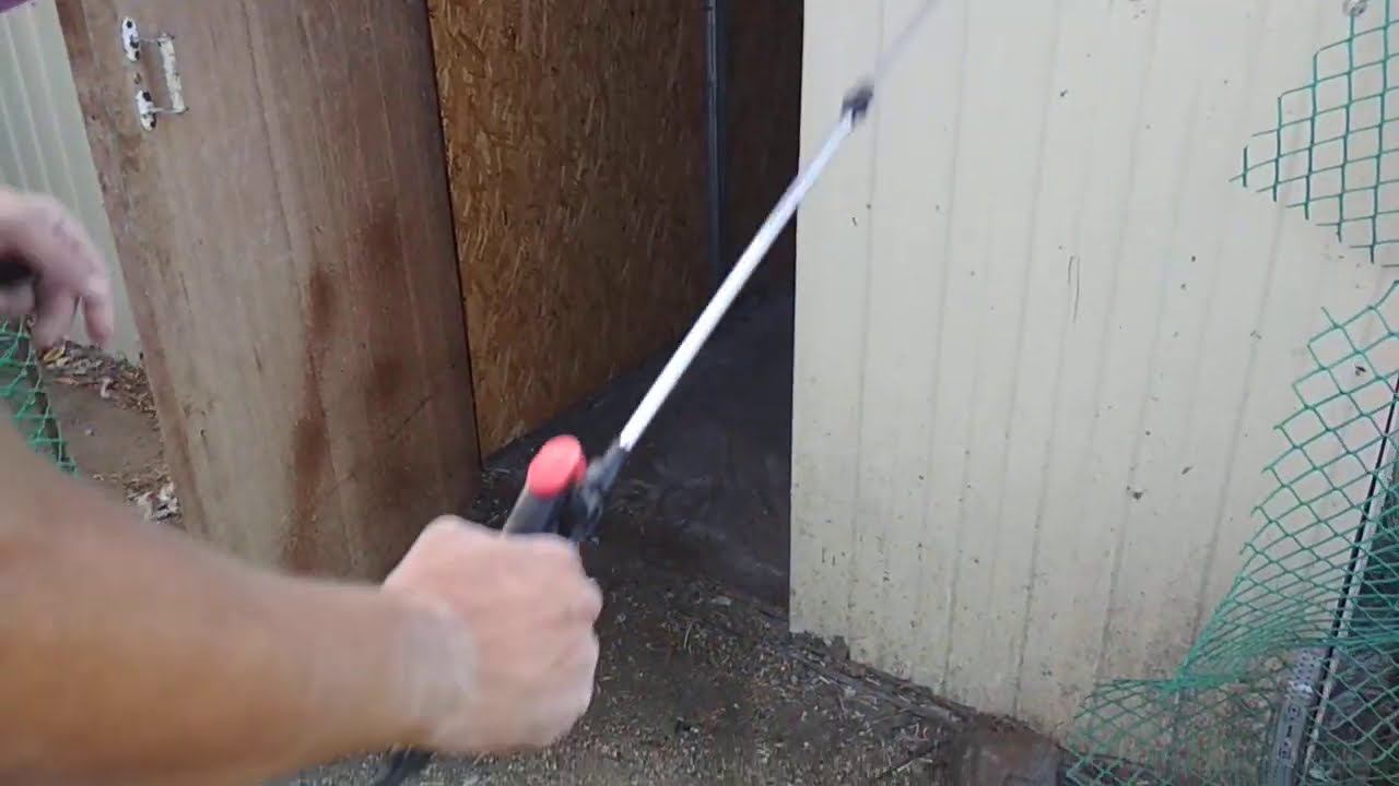 Обработка птичника