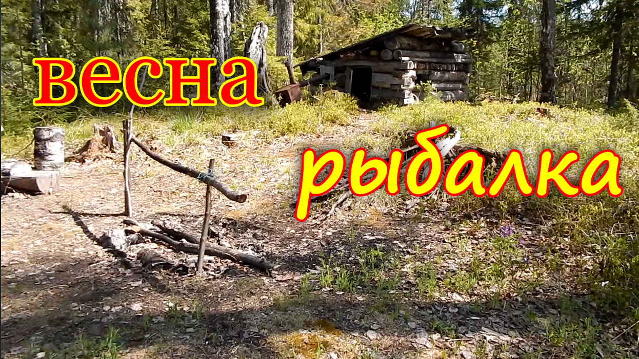 Весна звуки природы лес озеро рыбалка