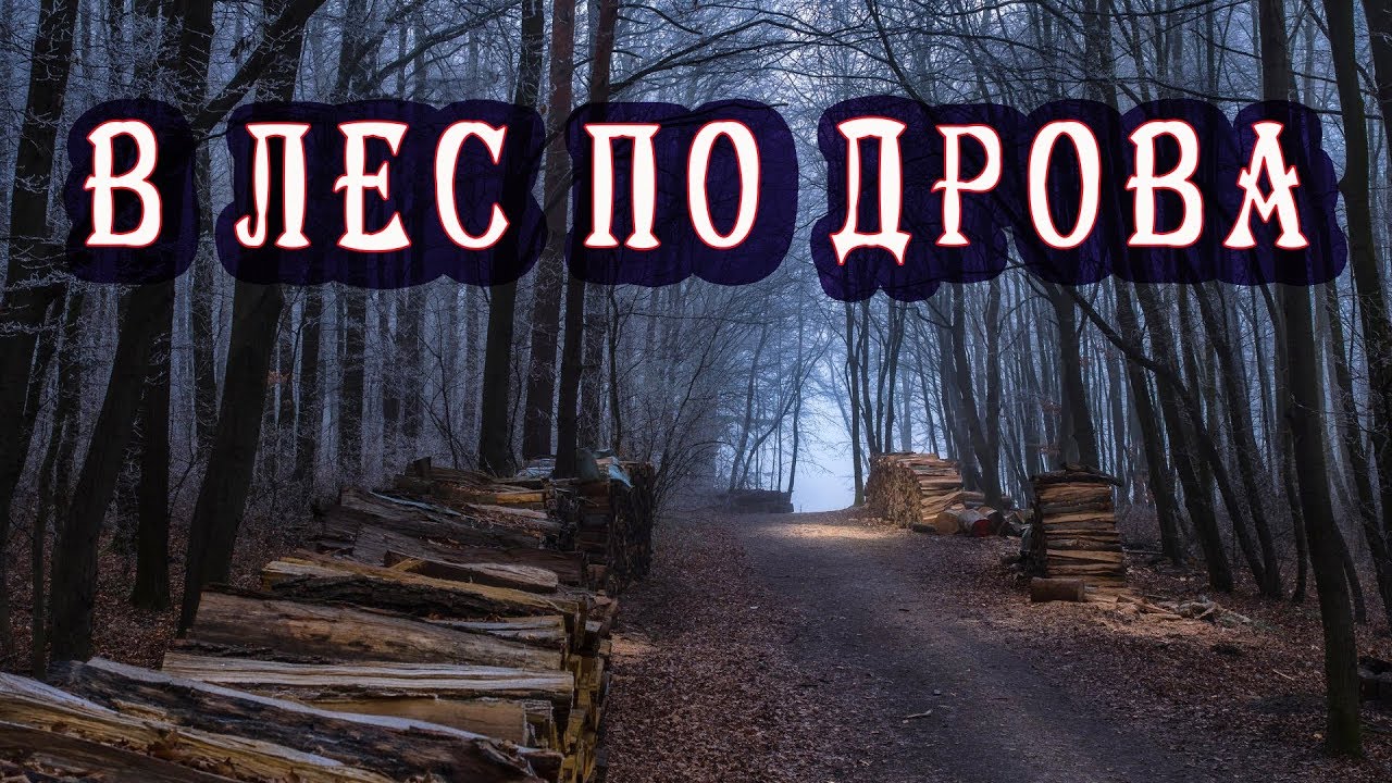 В Лес по Дрова