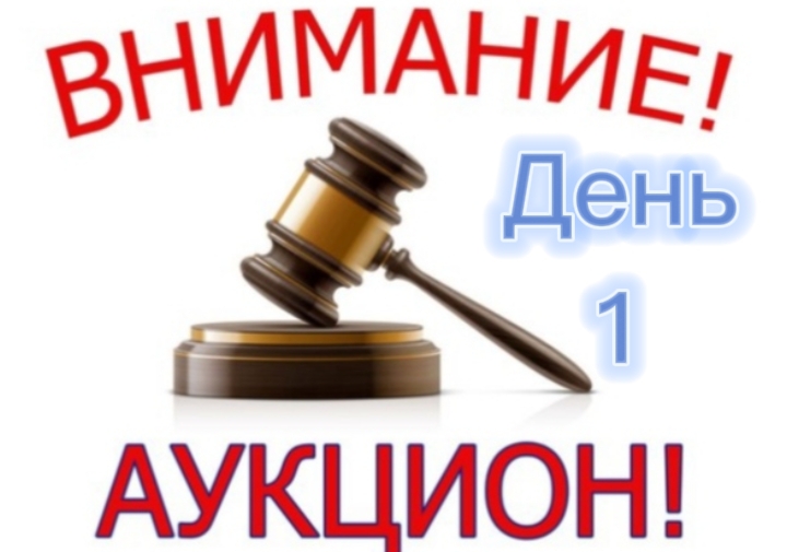 Первый день аукцыона.