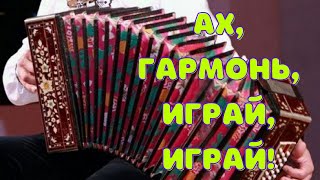 Ах, гармонь, играй, играй. Ансамбль "Лужанка".