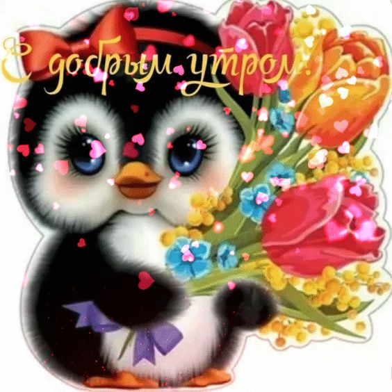 С ДОБРЫМ УТРОМ?!С НОВЫМ ДНЁМ?