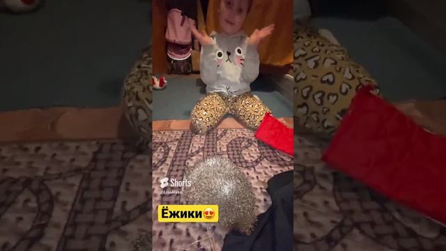 ПОЙМАЛИ ЕЖИКА