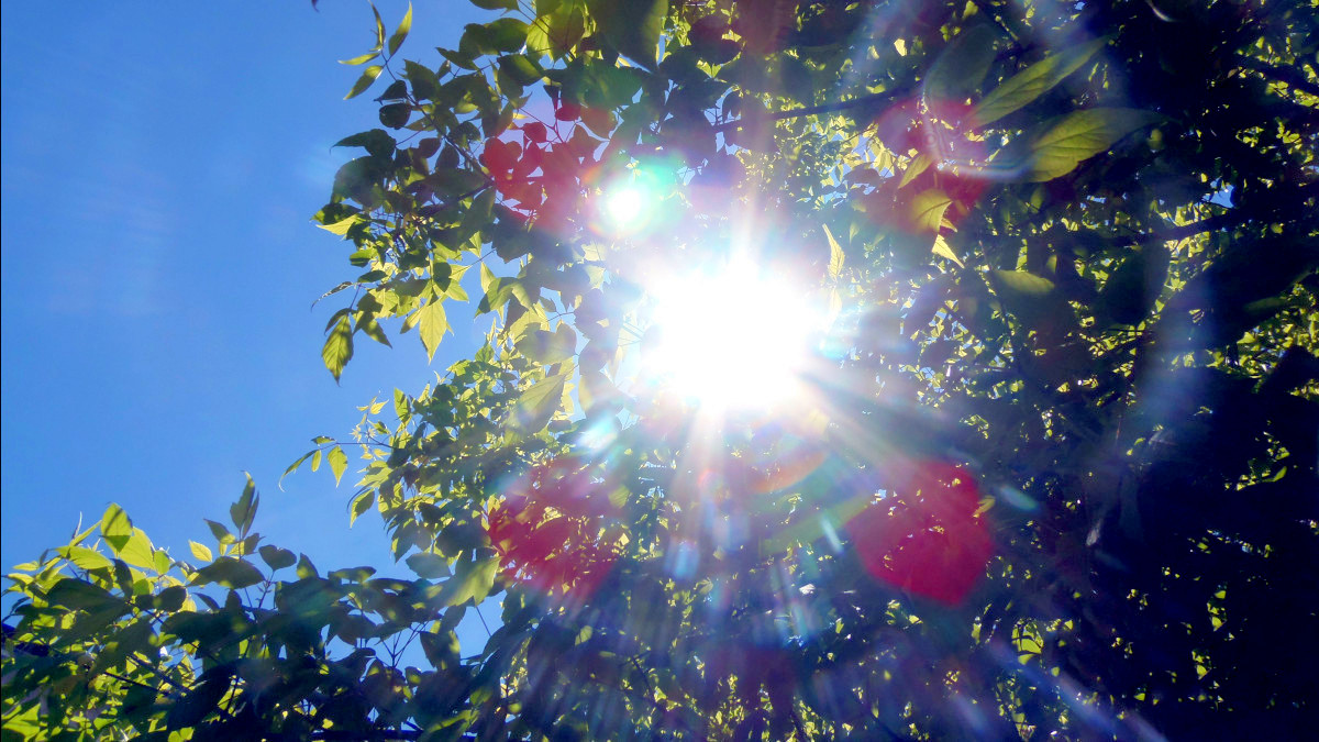 Центр объединения человечества.