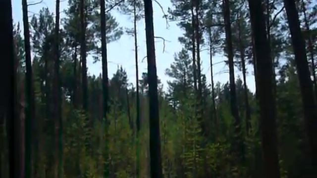 Забытые способы ориентирования. По Солнцу