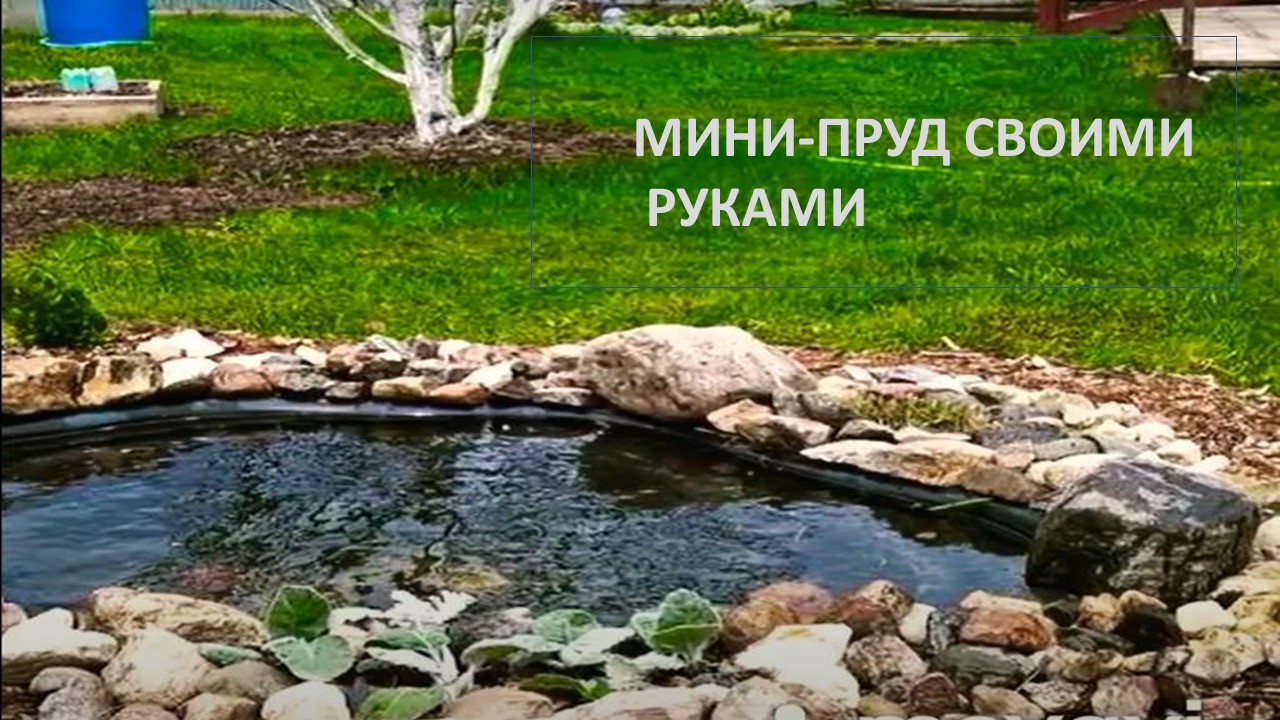 Прудик на даче своими силами.