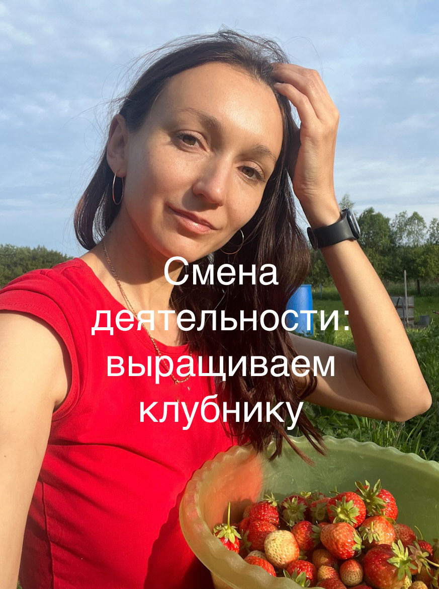 Как все лето быть с клубникой