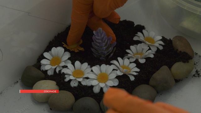 В ЕНИСЕЙСКОМ РАЙОНЕ ПРОШЕЛ ИГРОВОЙ ЧЕМПИОНАТ BABYSKILLS