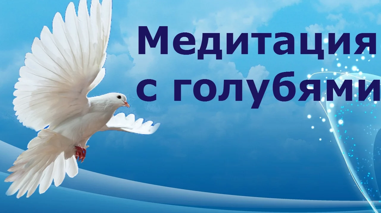 Медитация с голубями