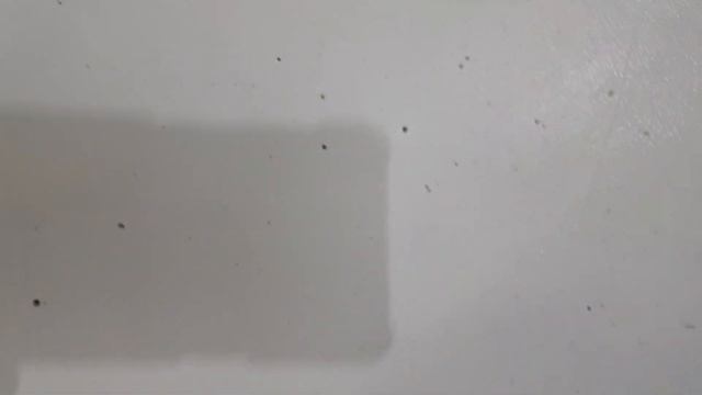 Реставрация ванны в Хотилово от АНТОНА.