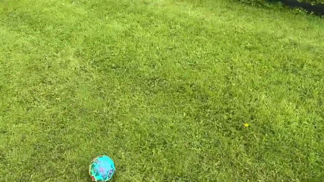 🎥Очаровательные Милые на свете!!=1